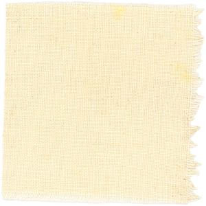 Boletus rex-veris: Mushroom Color Atlas