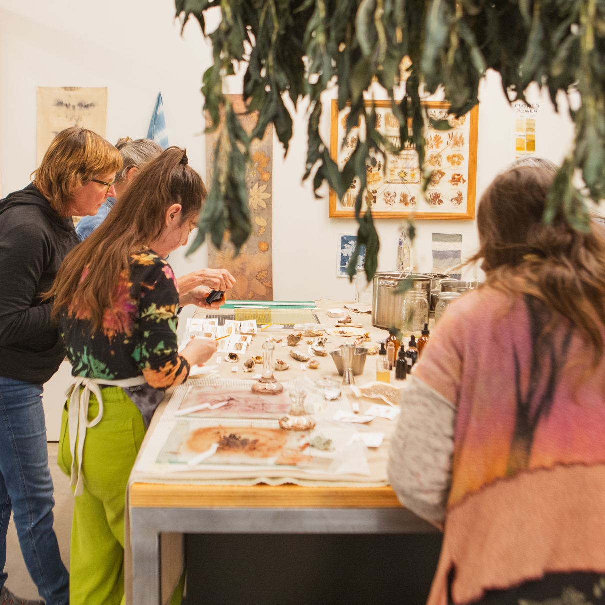 Mushroom Forage, Dyes, Pigments, Paints & Inks : Mushroom Color Atlas