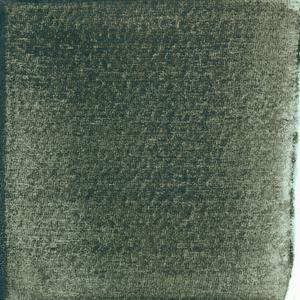 Hydnellum regium: Mushroom Color Atlas