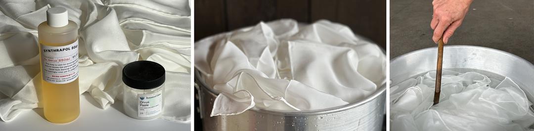 Process: Mushroom Color Atlas