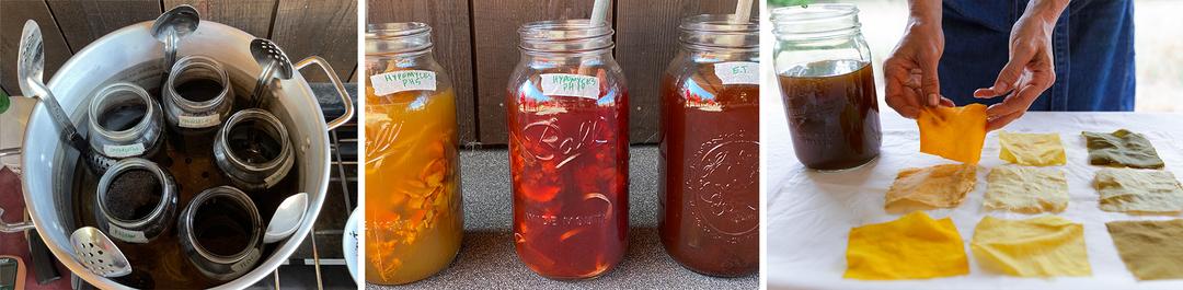 Process: Mushroom Color Atlas