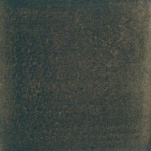 Phellodon atratus: Mushroom Color Atlas