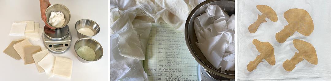 Process: Mushroom Color Atlas