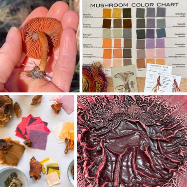 Posts: Mushroom Color Atlas